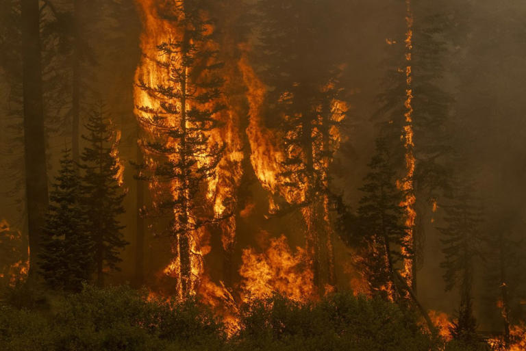3 firefighters killed, 2 others burned battling western Colo. wildfire