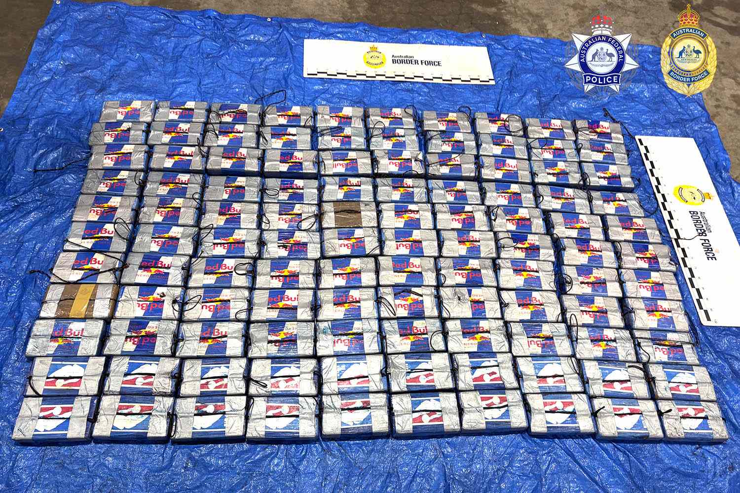 More than $24 million worth of cocaine found hidden inside frozen berry ...
