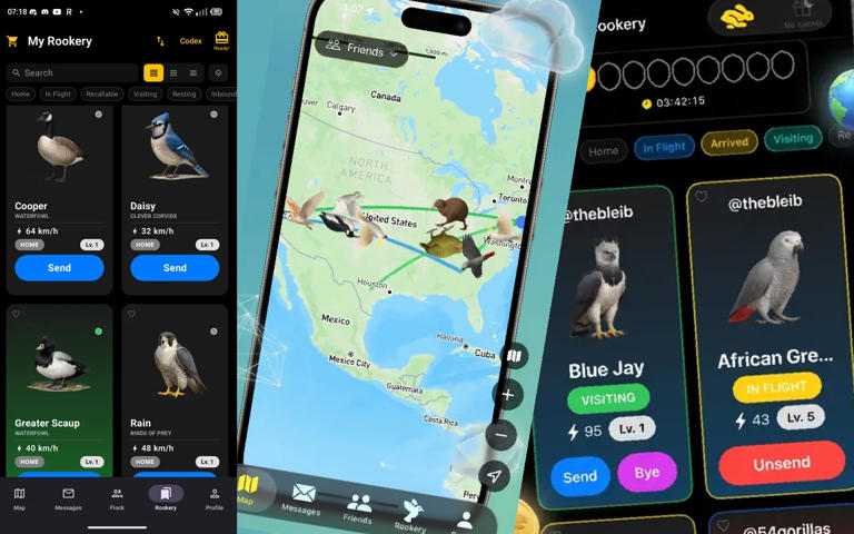 Roost: an app that sends messages at the speed of birdflight