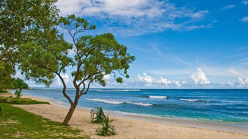 Australia and Vanuatu sign deal barring foreign military base on ...