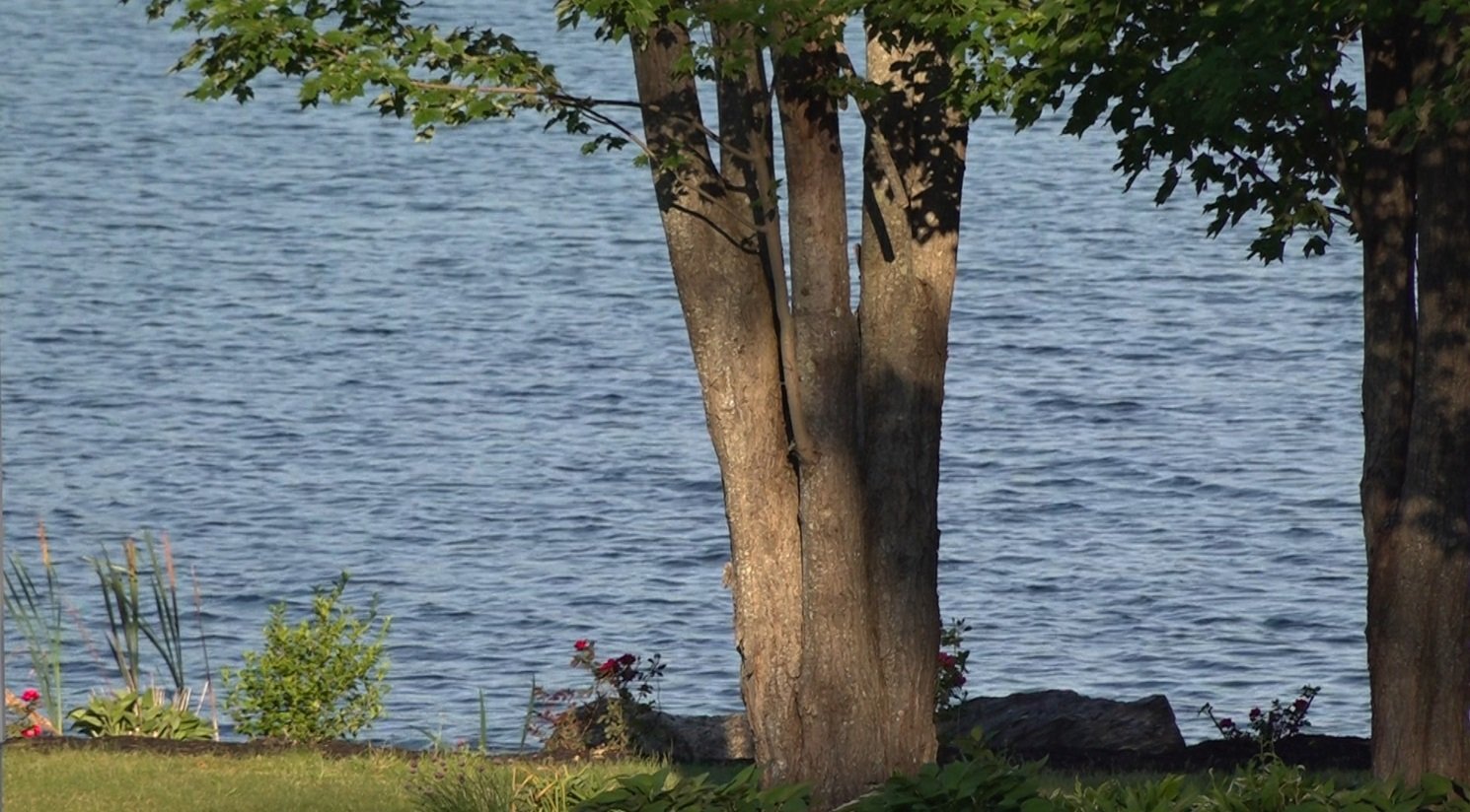 Woman's body recovered after hours-long search in Scarborough pond