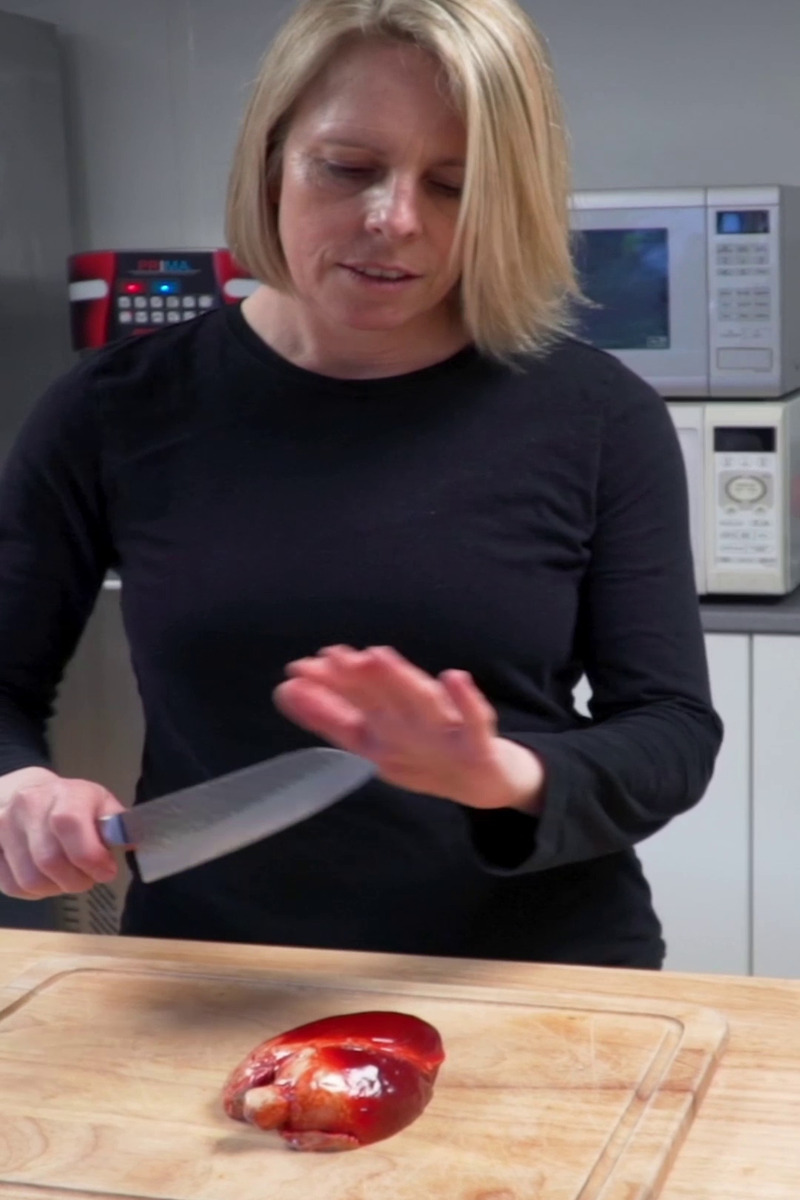 Sarah Hardy creates chocolate specimens
