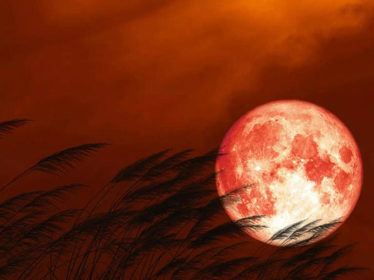Strawberry moon 2026: When and where to watch June's full moon in New ...