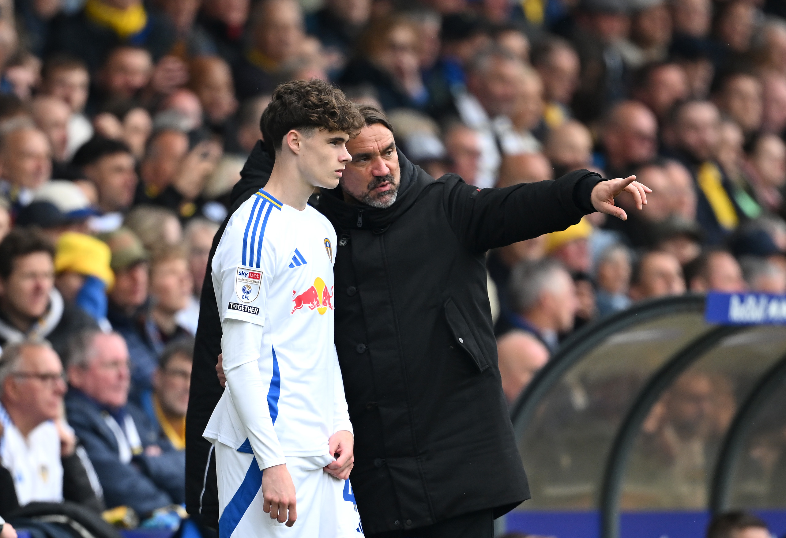 Sheffield Wednesday, Huddersfield Town, Barnsley FC and Wigan Athletic ...