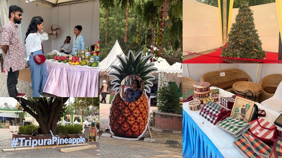 Delhi gets a taste of GI-tagged Queen pineapple from Tripura and ...