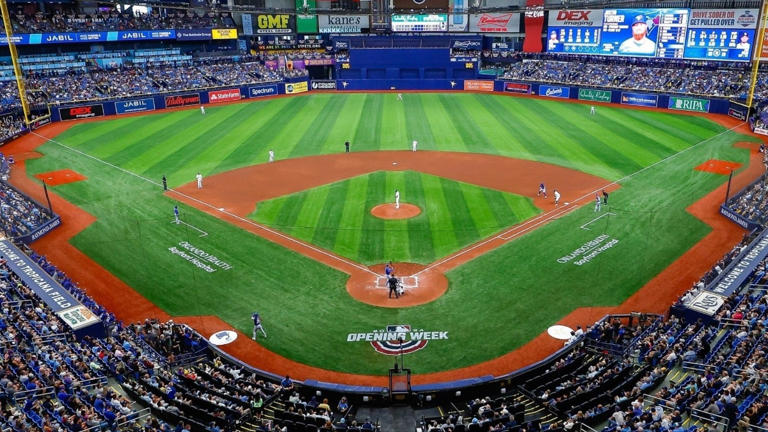 MLB: The unofficial target practice! The door that takes all the heat ...