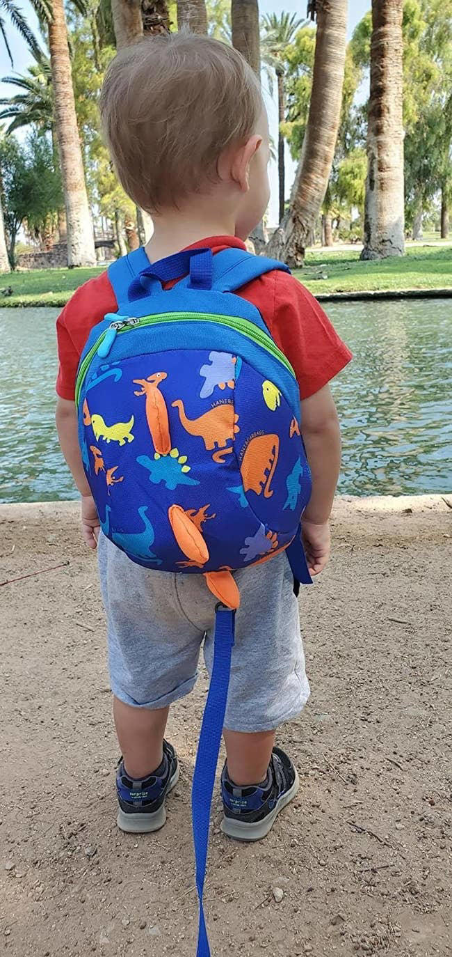 29 amusement park must-haves that'll make your day of fun even better
