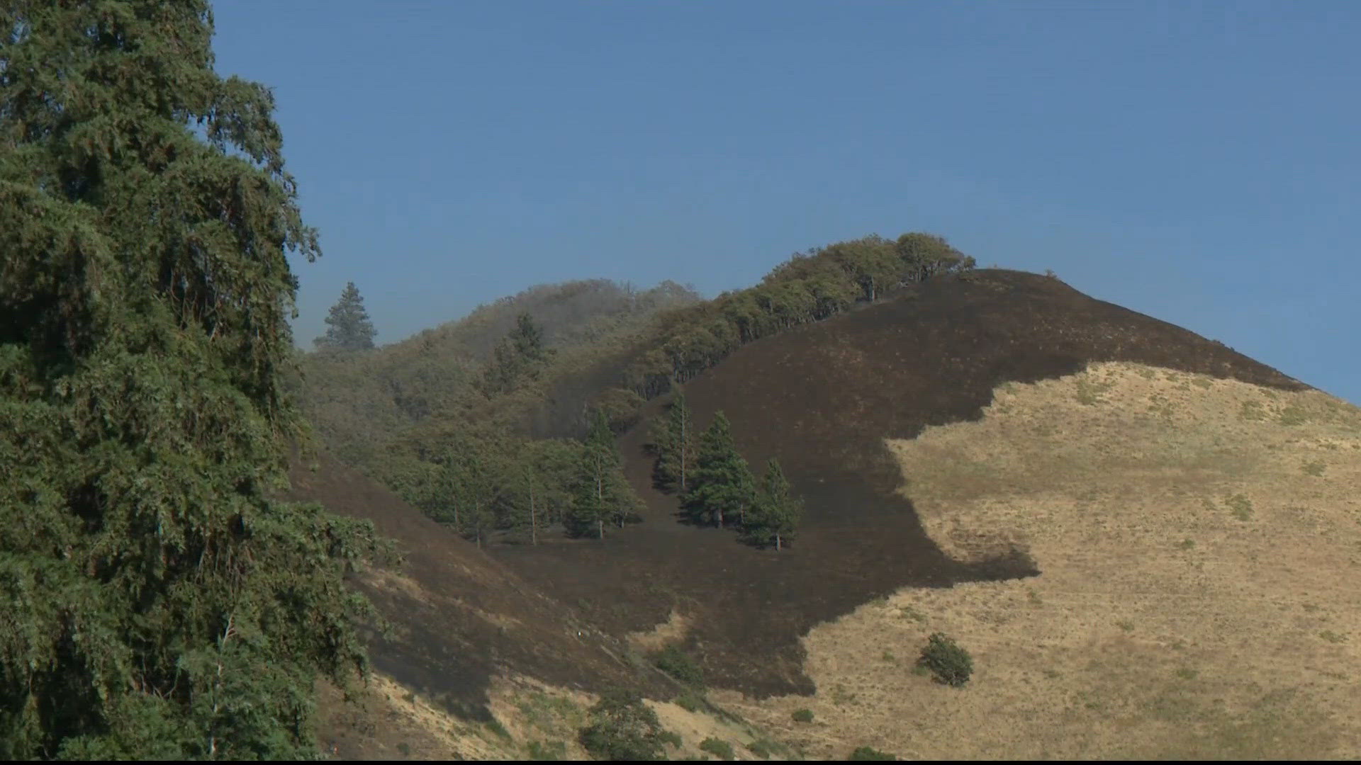 Wildfire threatens homes near Lyle, Washington, prompts evacuations