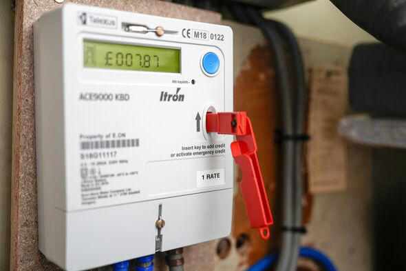 British Gas, EDF, EON and Octopus customers urged to take photo of ...