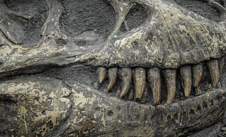 Scientists revealed that this dinosaur had 500 teeth, and replaced ...