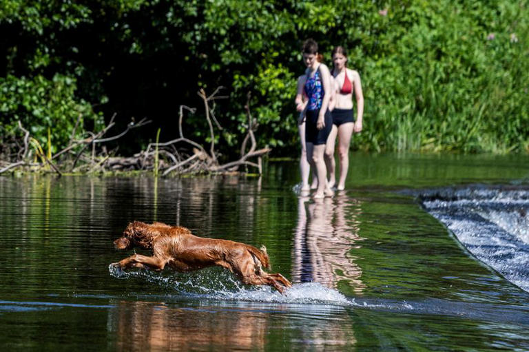 Exact date UK heatwave will return with 37C heat as temperatures will rise
