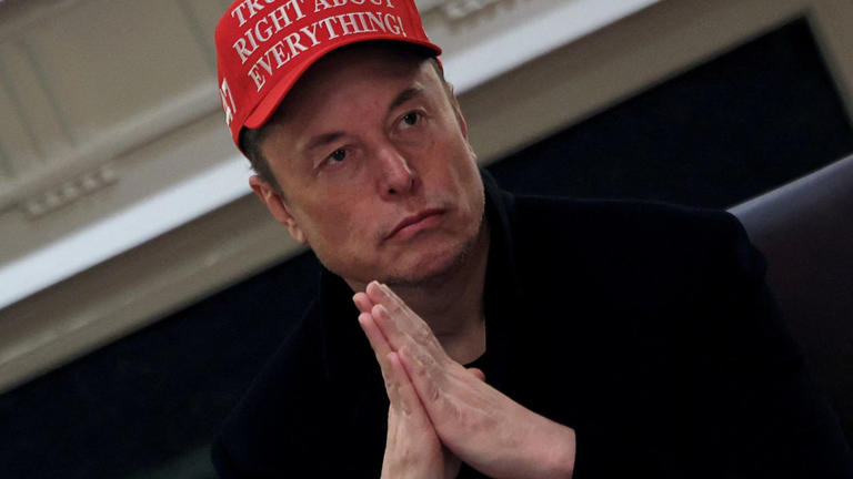 Elon Musk demands 'single' DOGE death example — then goes silent when ...
