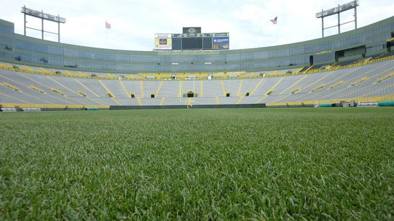It took 7 years to engineer stadium grass for the FIFA World Cup