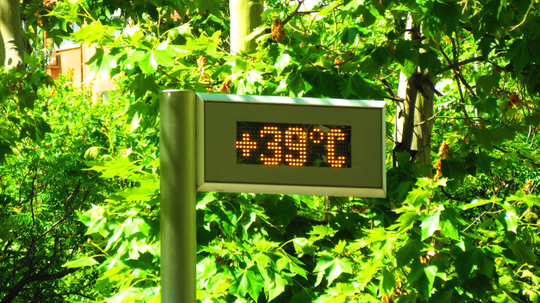 Europe is burning—7 heatwave survival lessons it can borrow from India