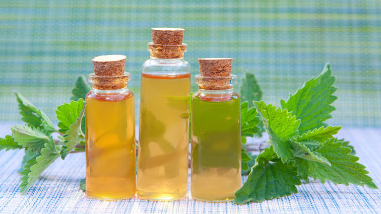 The 5 best all-natural mosquito repellents that aren't citronella