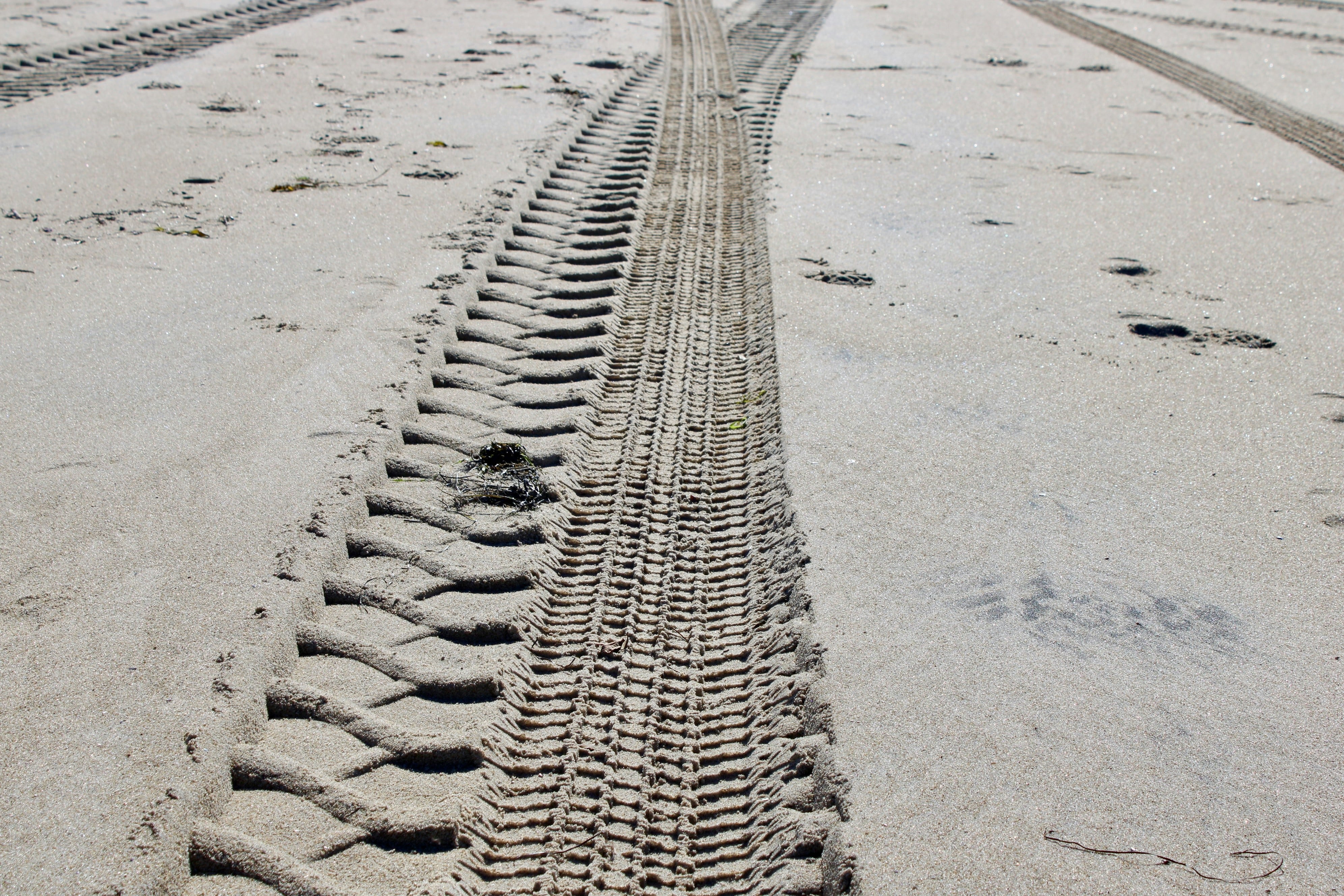 Parking on the beach: Don’t ruin your Fourth of July by getting stuck ...