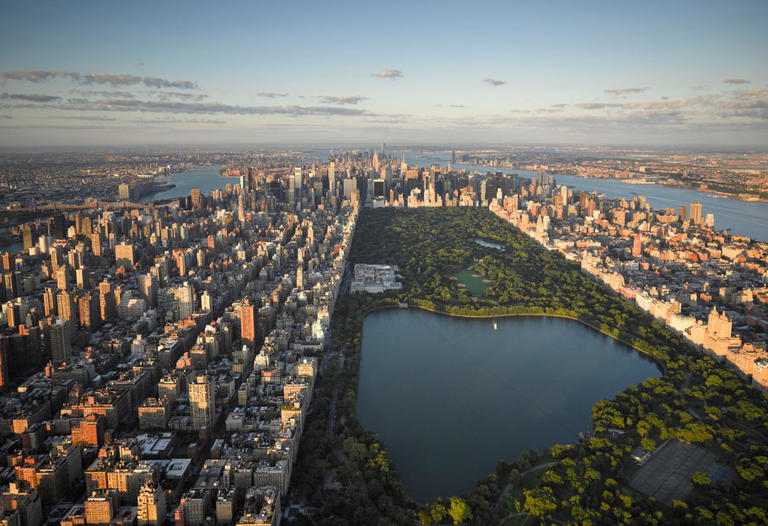A once-decimated creature is returning to New York’s waterways. Now ...