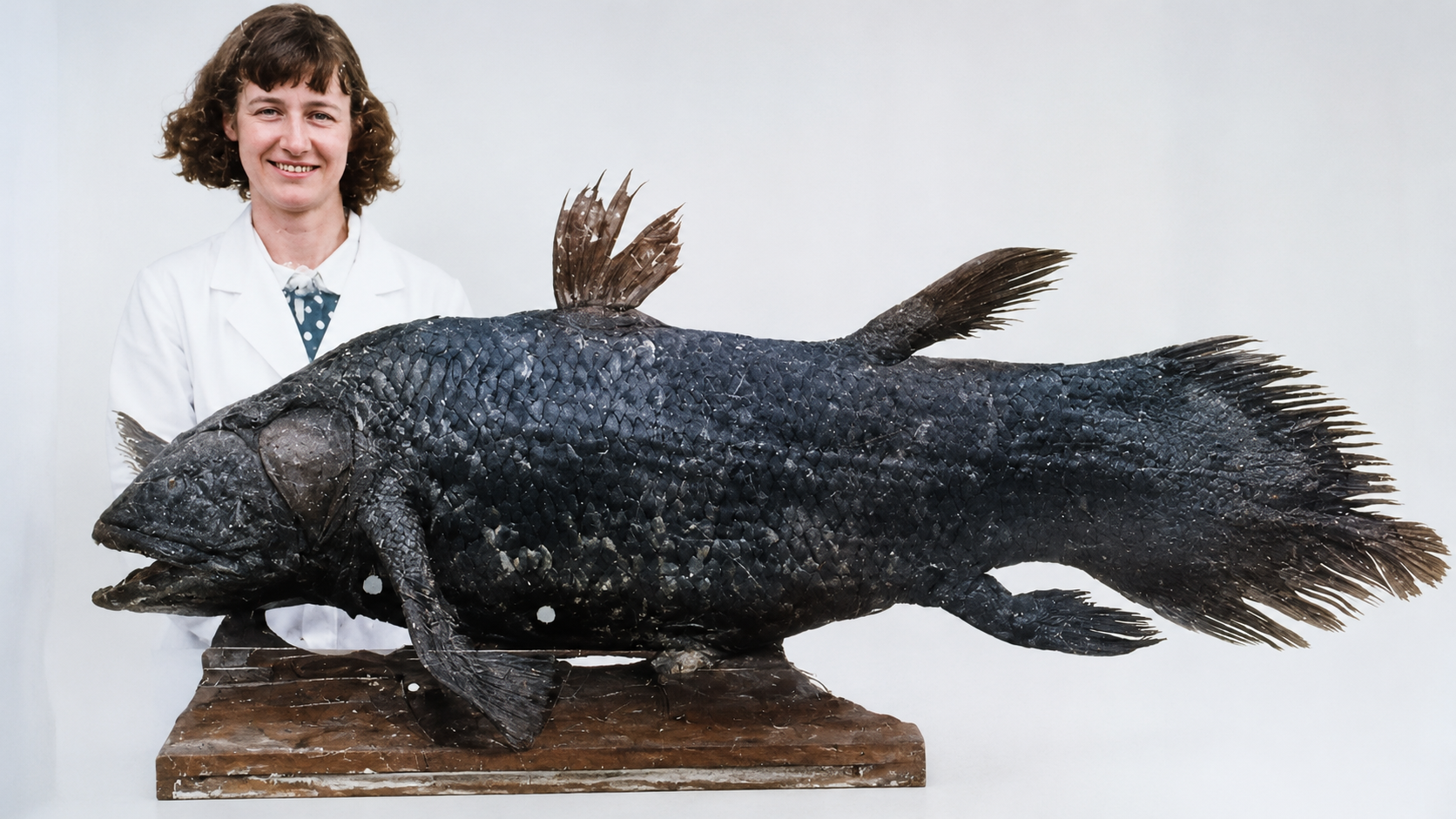 This monster fish was thought extinct for 66 million years - then she ...