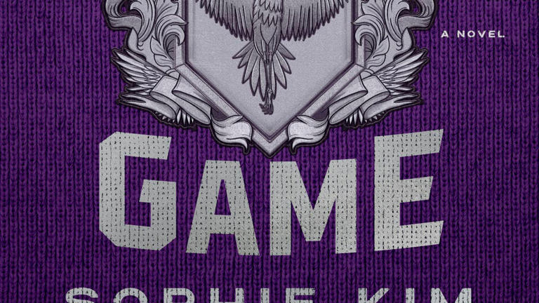 Discover 'The Winged Game': A unique sports romance with mystery and ...