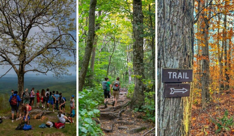 14 spectacular and easy(ish) hikes in southern Vermont