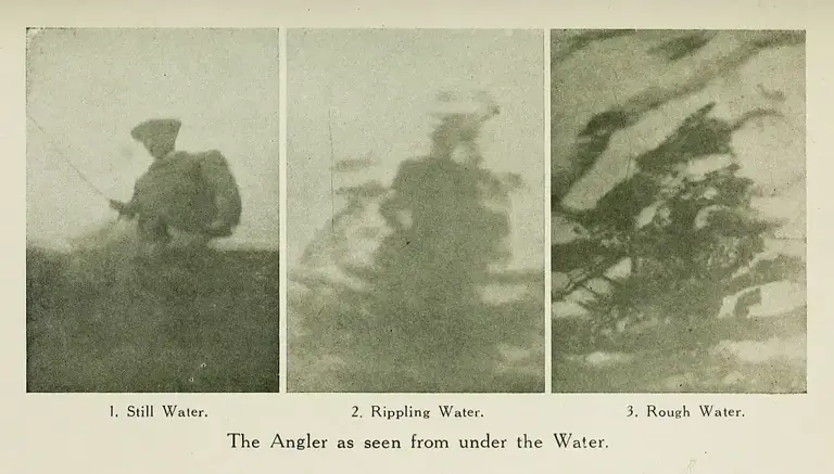 What’s it like to be a fish? Anglers 100 years ago used underwater ...