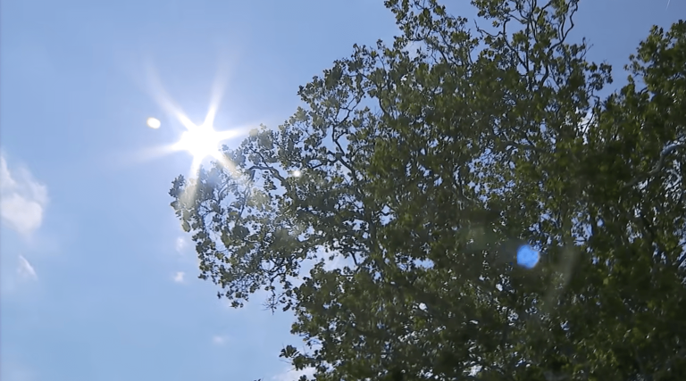 Lamont activates extreme hot weather protocol as dangerous heat is ...