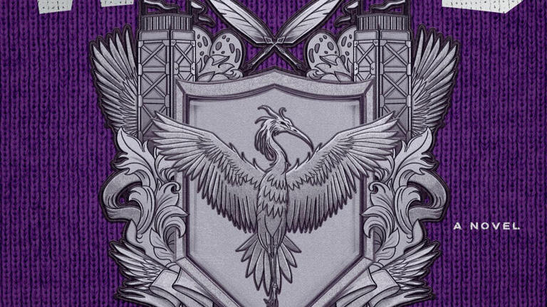 Discover 'The Winged Game': A unique sports romance with mystery and ...