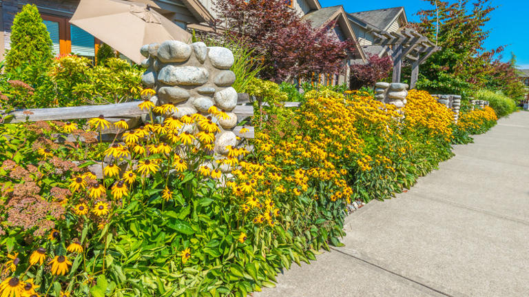 5 best lawn solutions for curb appeal that aren't grass