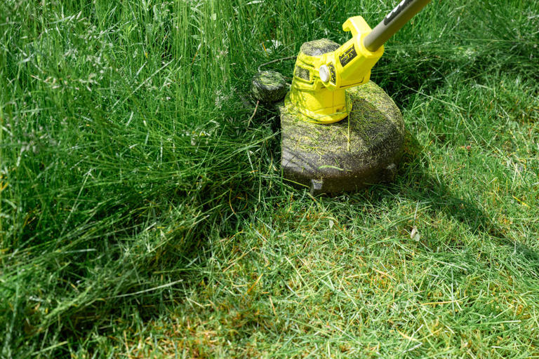 How to replace your weed whacker string for a cleaner, sharper cut