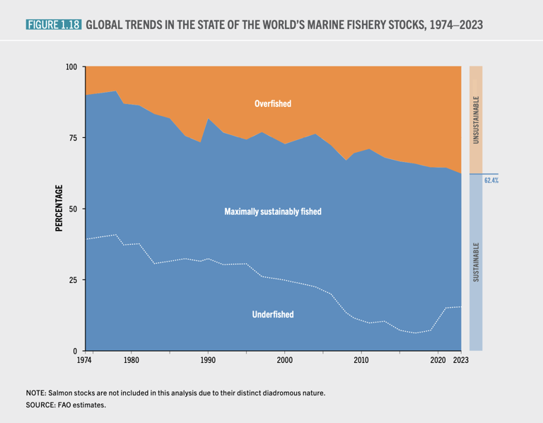 Aquatic animal and terrestrial meat trades now almost on par, FAO ...