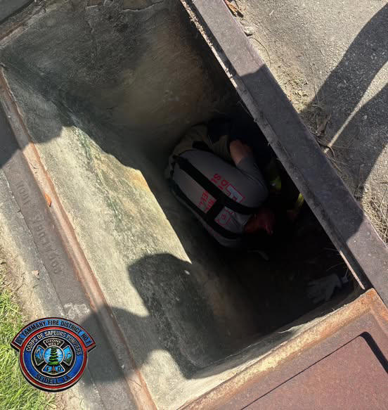 Kitten rescued from drain in Slidell