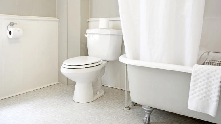 Toilet seats: Should you get elongated or round?