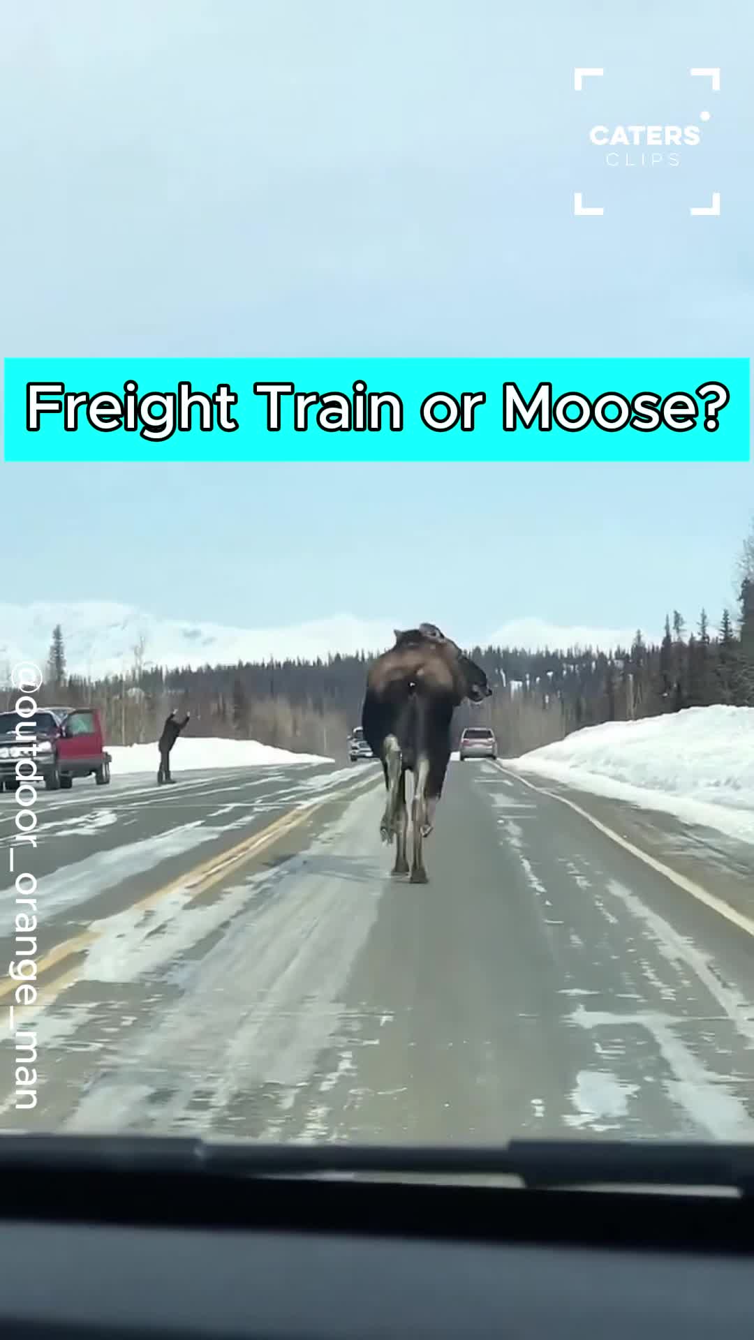 Alaskan driver comes face-to-face with massive moose