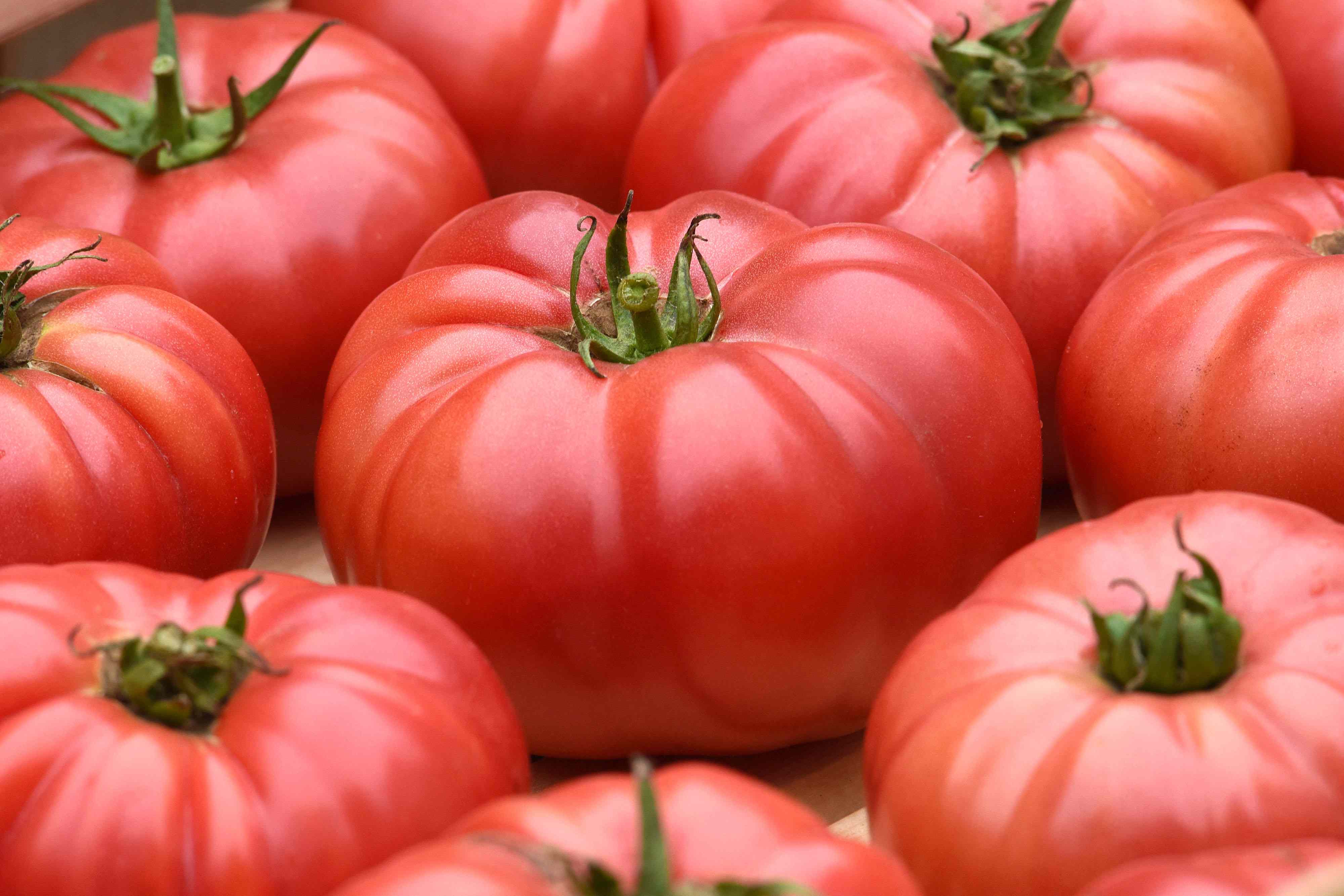 5 new 'it' tomatoes to look out for this summer