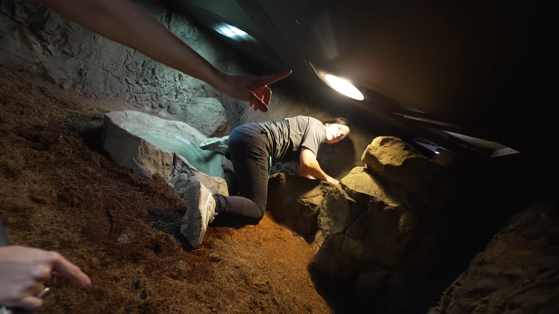 They didn't think it was possible to lose a 19 foot python - they were ...