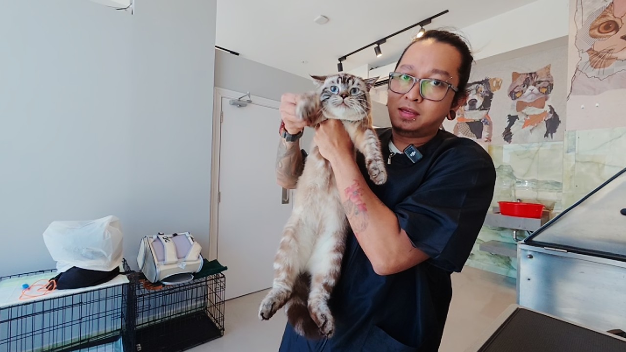 Loki’s first grooming visit