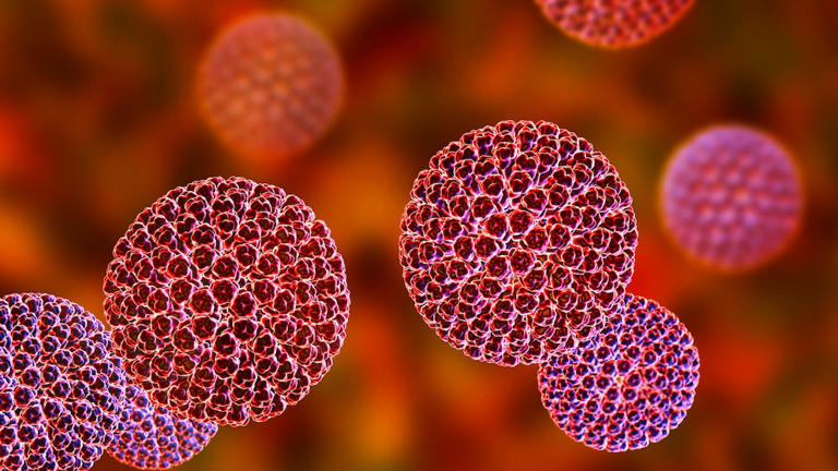 Rotavirus in children: Symptoms, transmission and protection