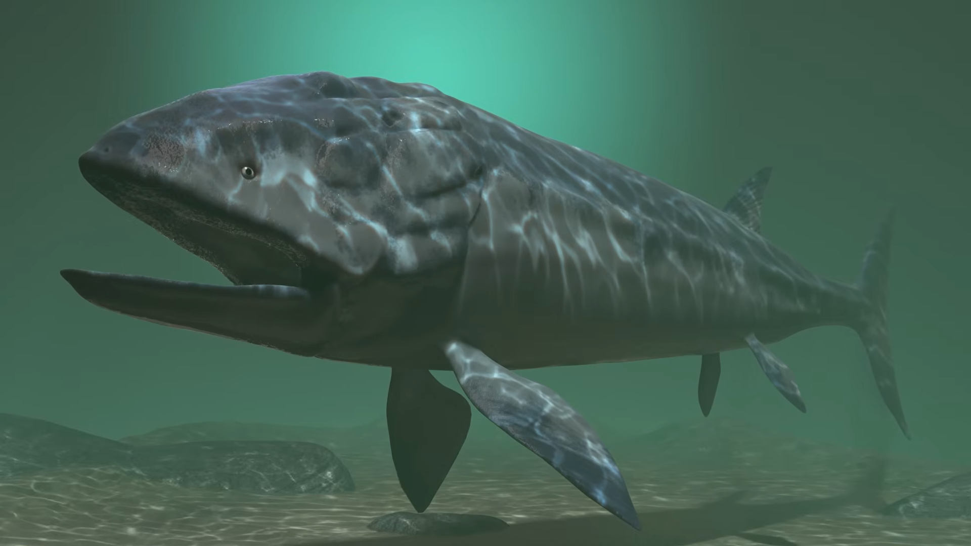 This ancient reptile hunted blue whales - and scientists are baffled