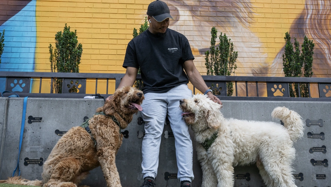 14 key challenges and responsibilities of dog ownership