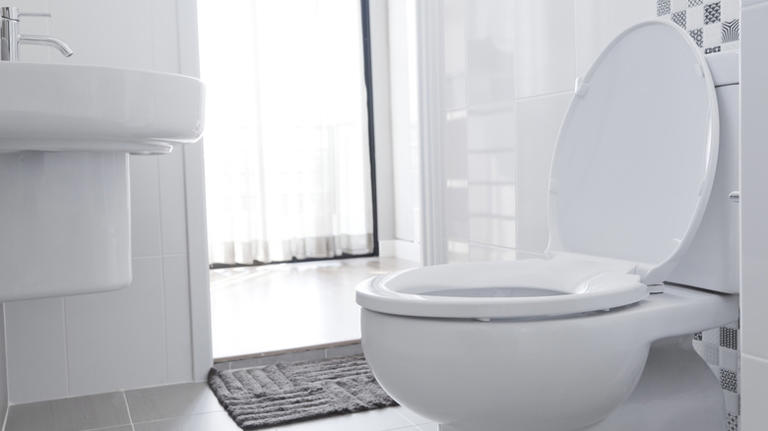 Toilet seats: Should you get elongated or round?