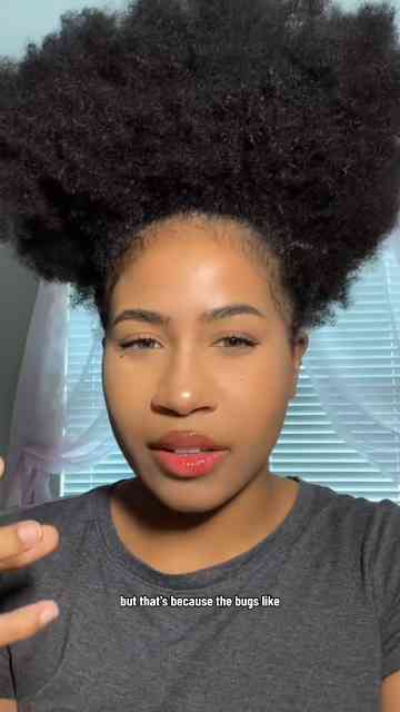 Clearing up common hair myths and lice facts explained