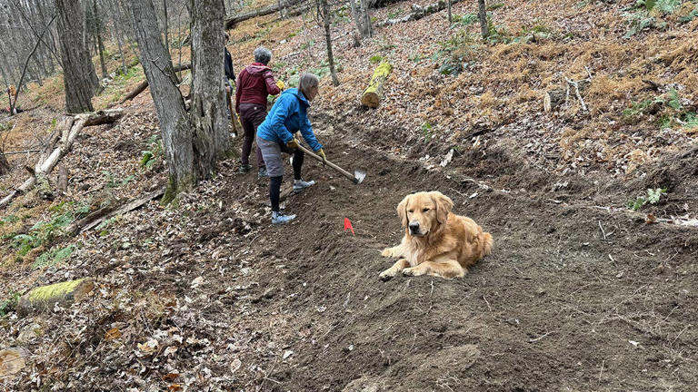 IMBA announces 2026 Trail Accelerator Grant recipients