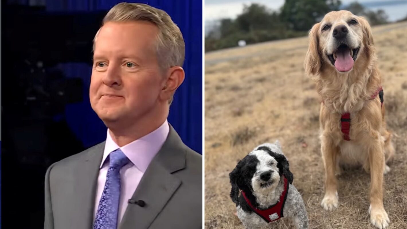 Get to know Ken Jennings’ dogs as ‘Jeopardy!’ host reveals which one is ...
