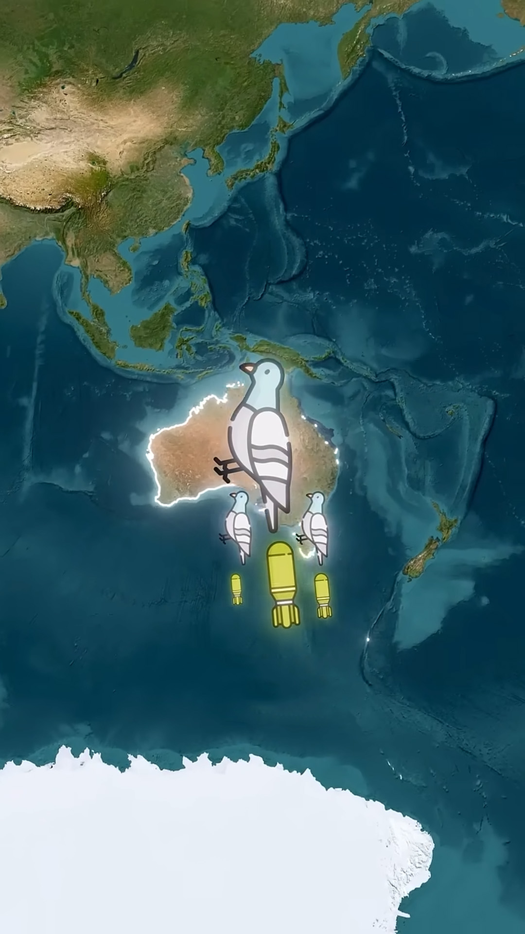 What would happen if birds ruled the Earth?