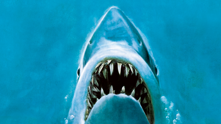 50 years of Jaws: Steven Spielberg's shark continues to instill fear ...