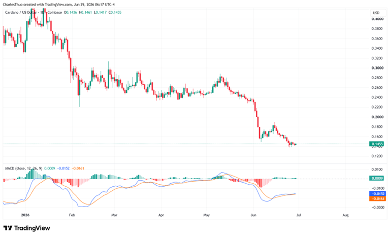 Can Cardano (ADA) recover after SecondFi Wallet exploit?