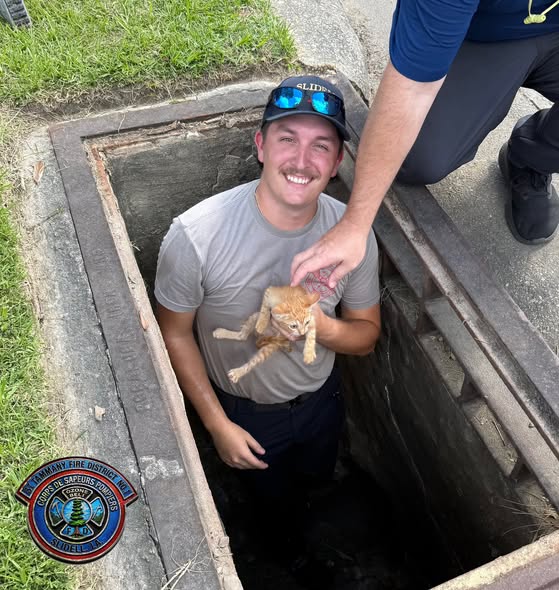 Kitten rescued from drain in Slidell