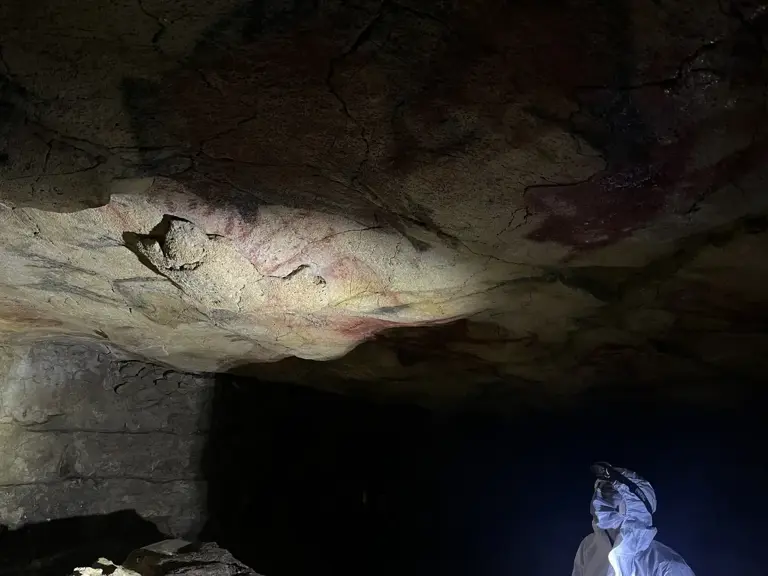 In a scientific first, researchers recovered ancient DNA that humans ...