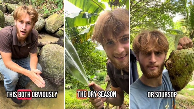 At 22, this man spent his $45k life savings on Colombia jungle land to ...