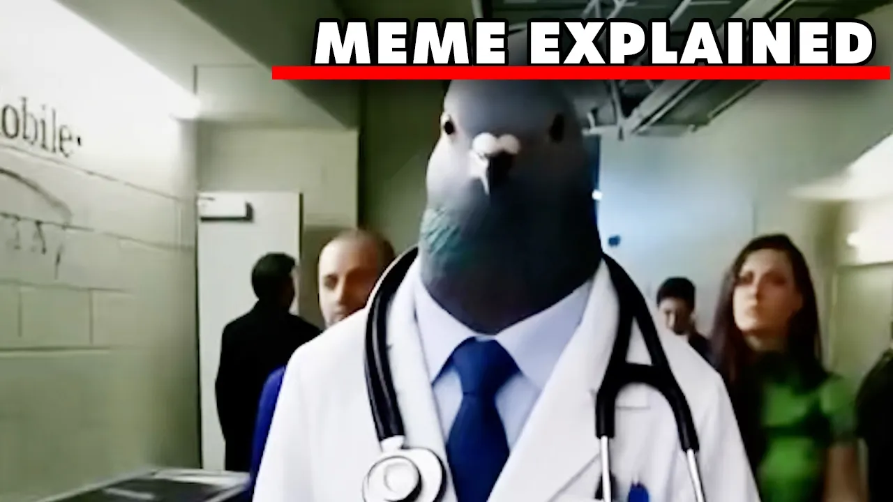 The pigeon doctor meme and origin explained